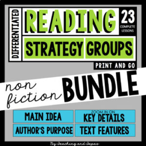 Reading Strategy Groups: Non-Fiction BUNDLE