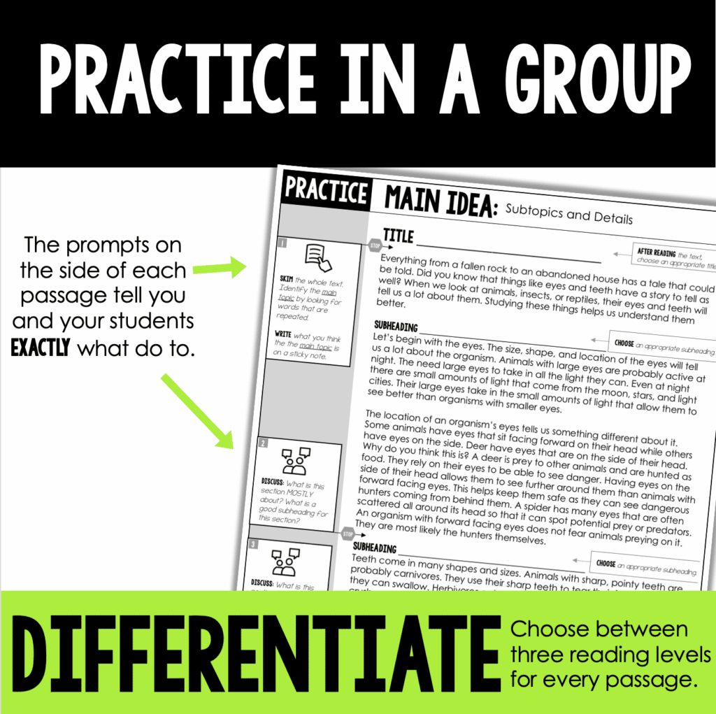 Reading Strategy Groups: Small Group Reading Lessons with Passages BUNDLE